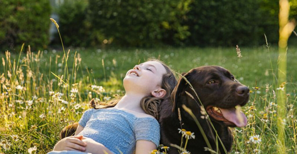 12 Traits That Make Labrador Retrievers America’s Top Dog