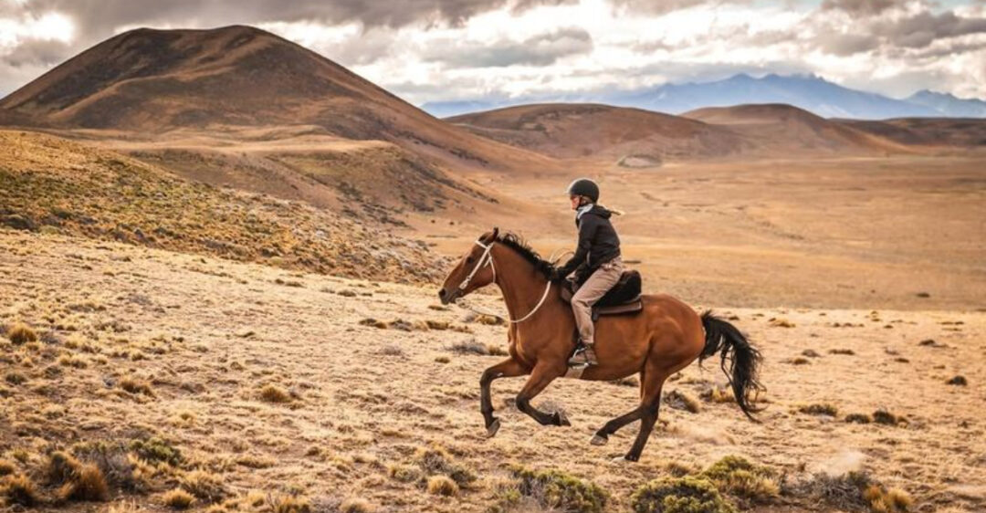 13 Ways Horses Show They’re Your Soulmate Beyond the Saddle