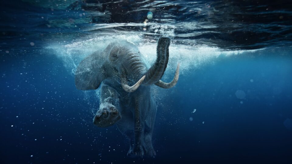 7 Animals That Evolved To Hunt Humans (And 7 That Would Love To ...