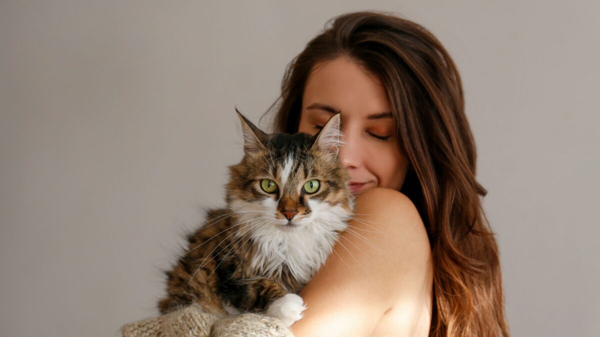 15 Low-Allergy Cat Breeds For Sensitive Cat Lovers