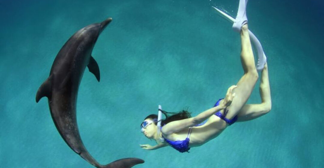 17 Best Places To Swim With Dolphins Across The World