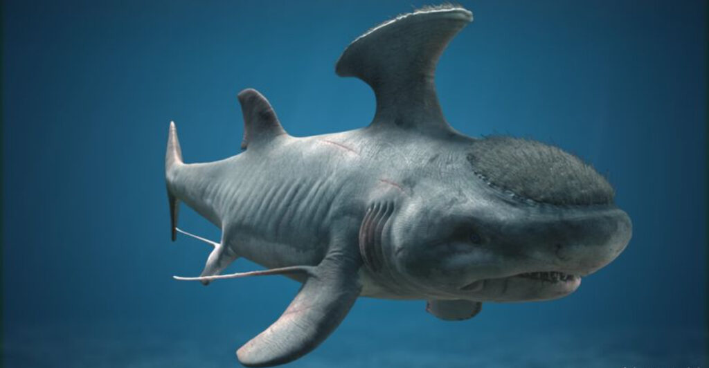 22 Extinct Sharks That Once Dominated The Deep