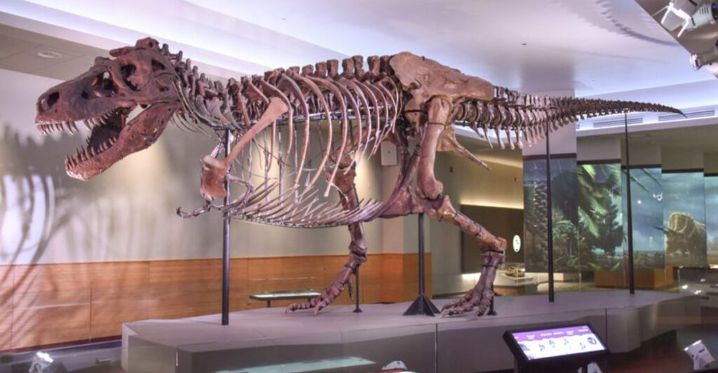 22 Groundbreaking Dinosaur Discoveries That Shaped Science