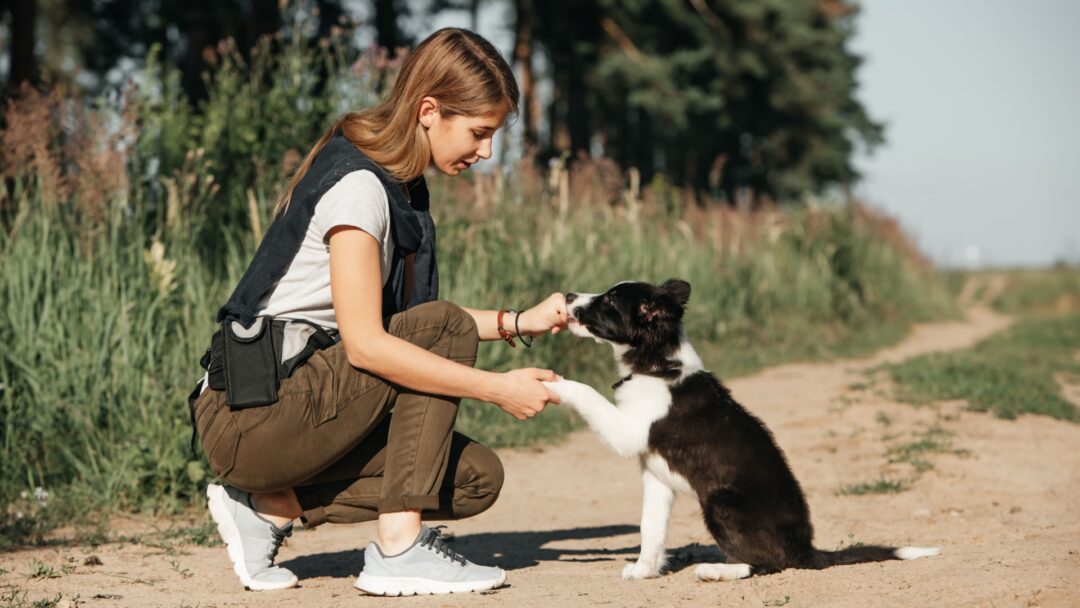 8 Ways To Shape Your Pup’s Behavior Without Scolding