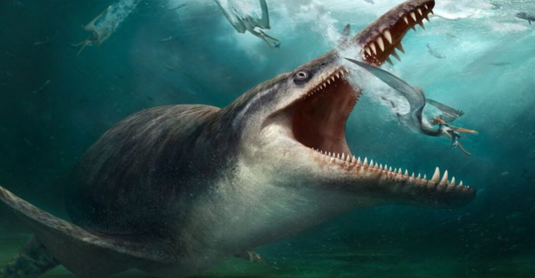 9 Fascinating Marine Creatures That Dominated The Seas