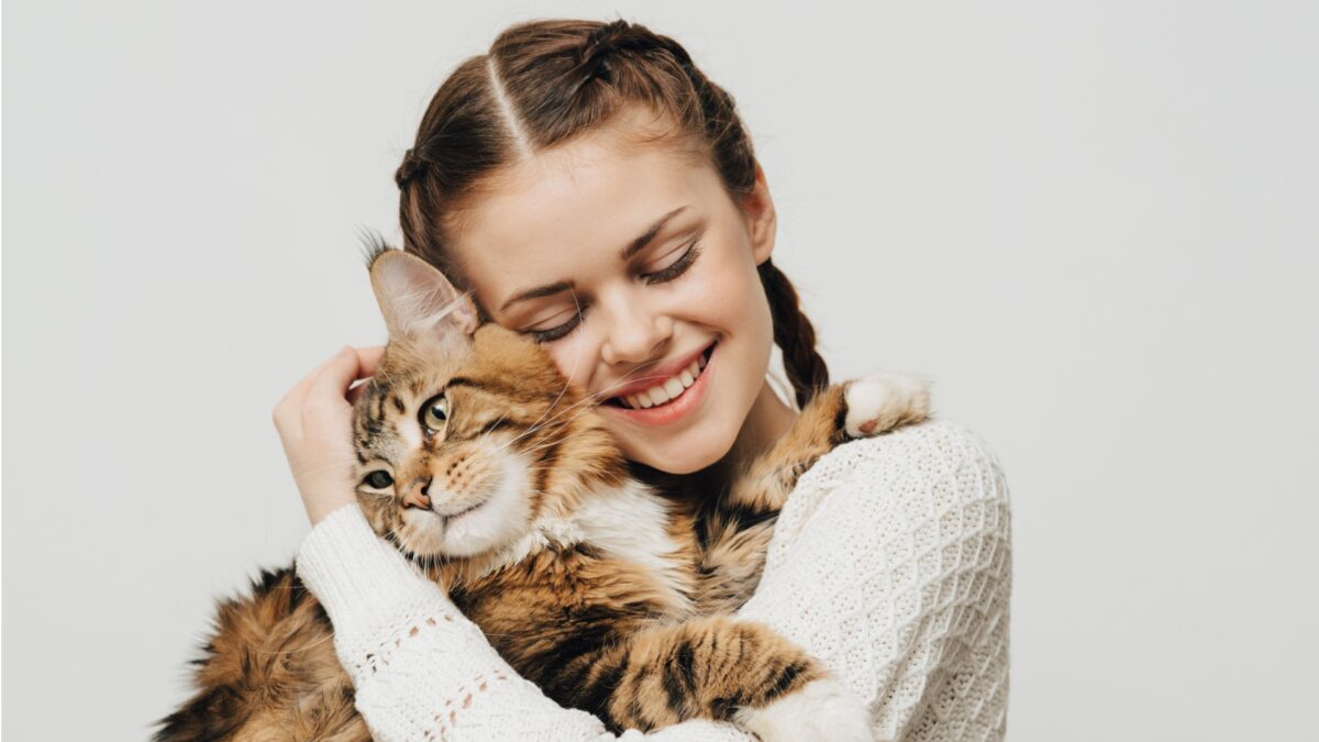9 Loyal Cat Breeds That Stick By Their Humans