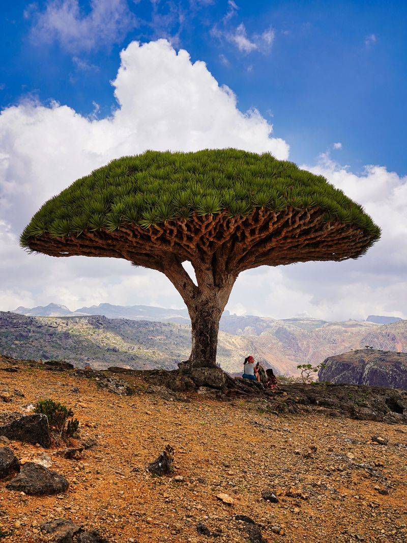 Discover 13 Amazing Plants And Animals From Remote Corners Of The Earth