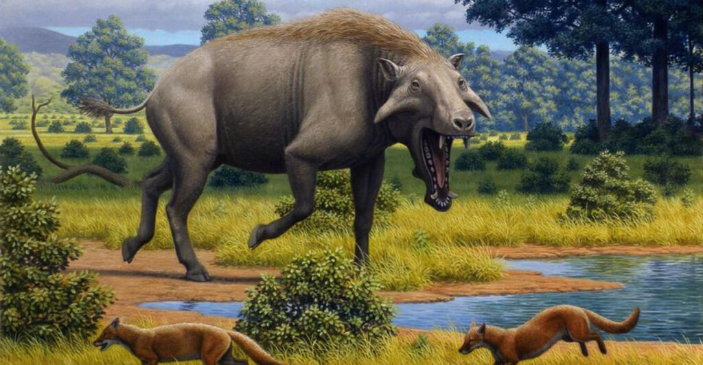 Fun Facts About Daeodon, The Giant Entelodont With A Mighty Bite