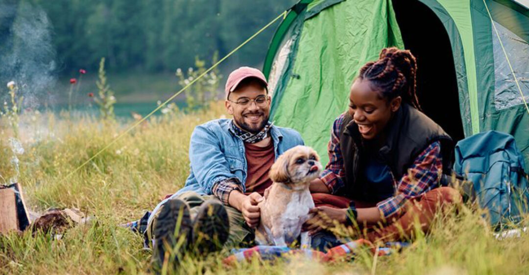 Fun Weekend Activities To Do With Your Pet