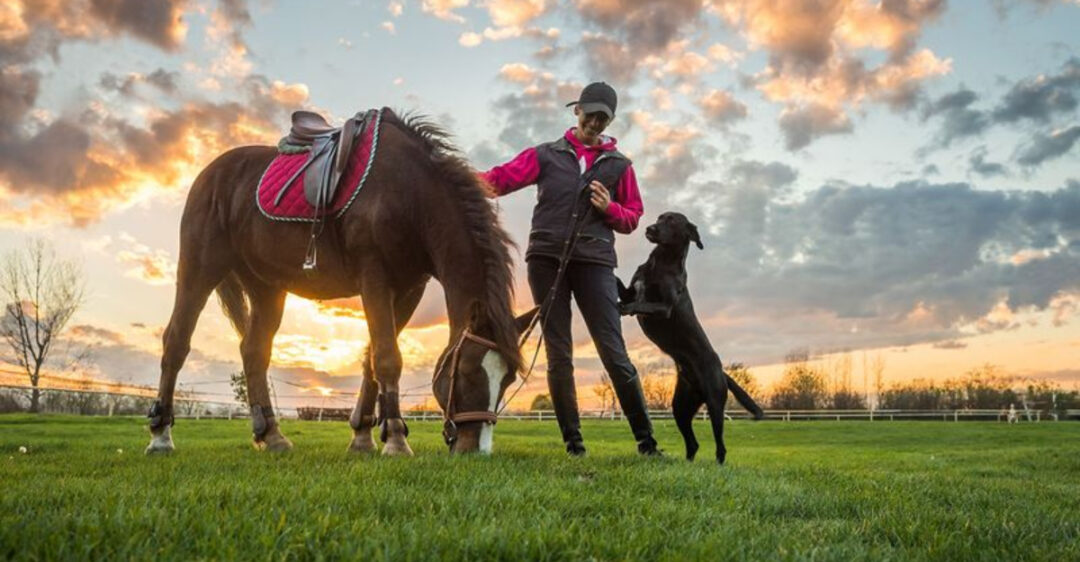 12 Ways Horses And Humans Connect Like No Other