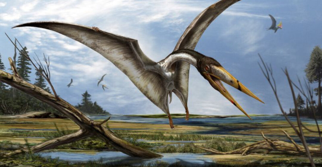 13 Fascinating Facts About The Giant Pterosaur That Ruled Texas Skies