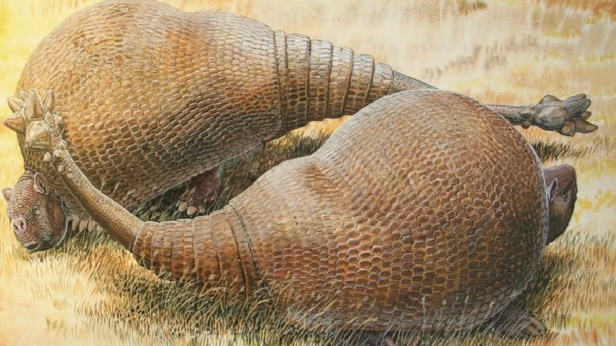 13 Prehistoric Beasts From North America’s Ice Age