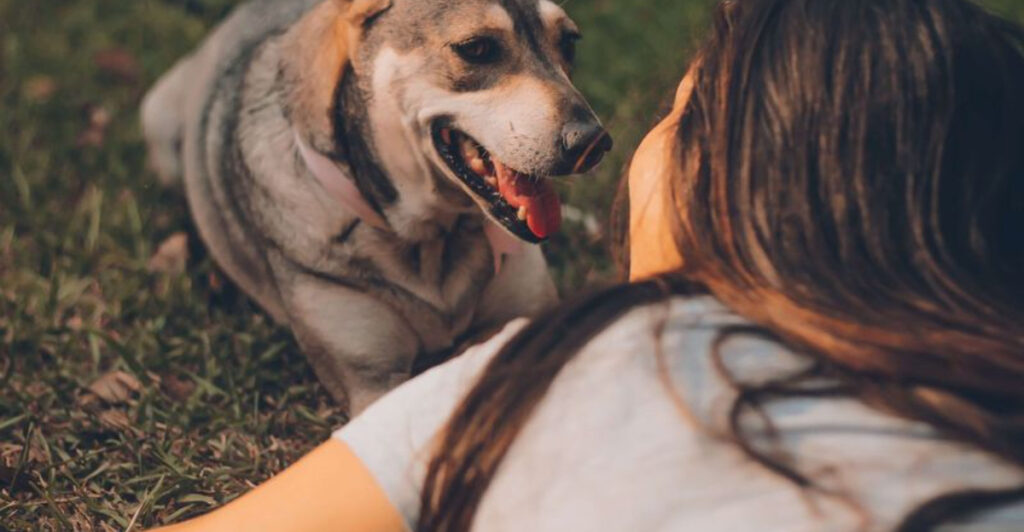 17 Reasons Why Humans Love Animals So Much