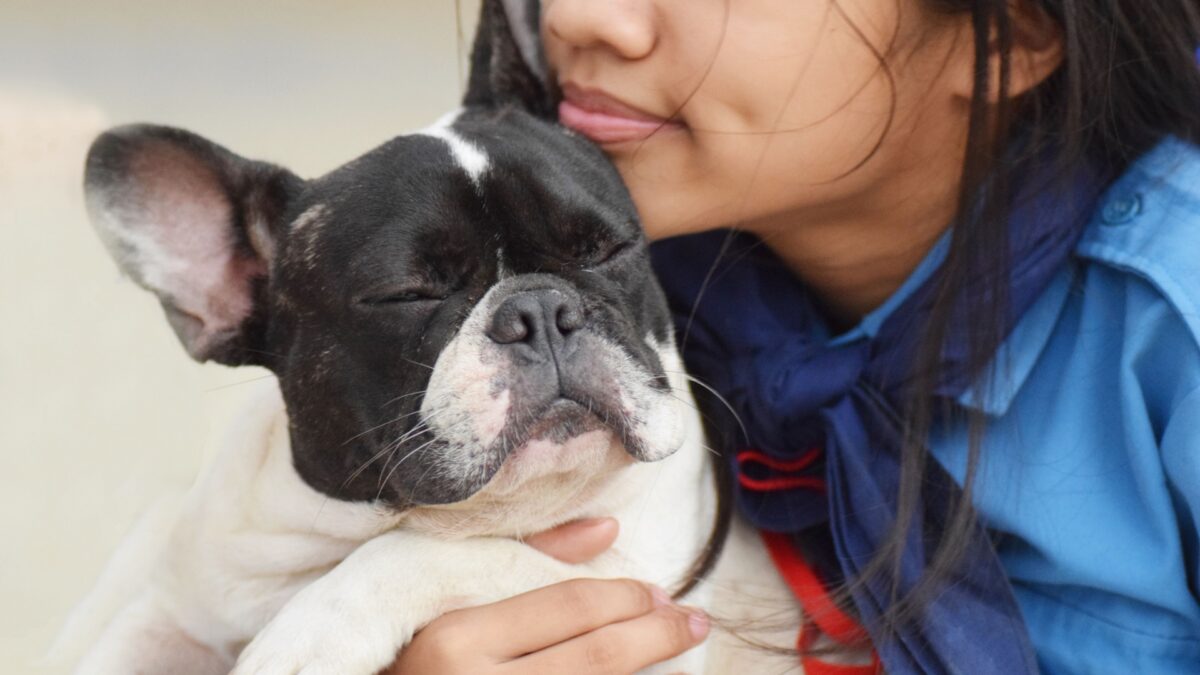 18 Unbothered Dog Breeds That Go With The Flow