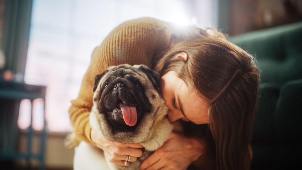 16 Animals That Love To Dance (Literally)