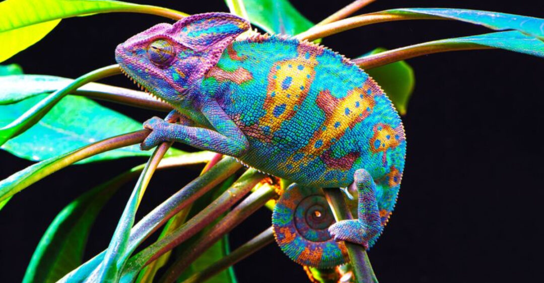 20 Real-Life Animals Behind Legendary Mythical Creatures