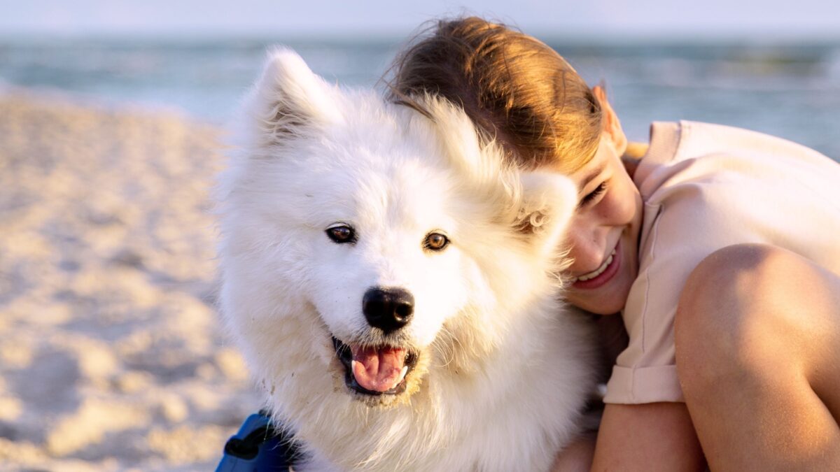 23 Cuddly Dog Breeds That Will Shower You With Love