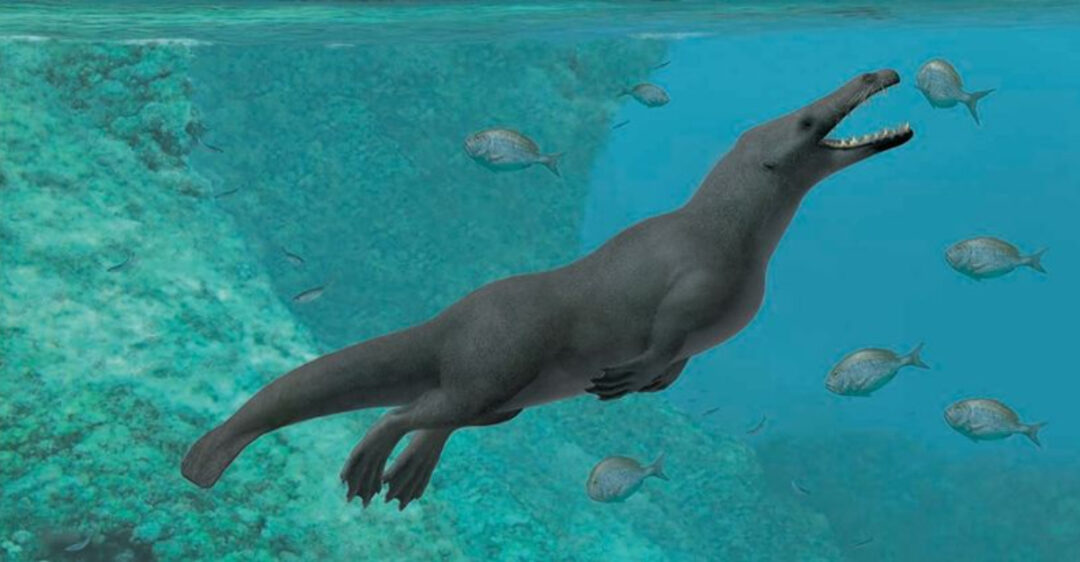 10 Extinct Whales That Were More Bizarre Than Any Living Species Today ...