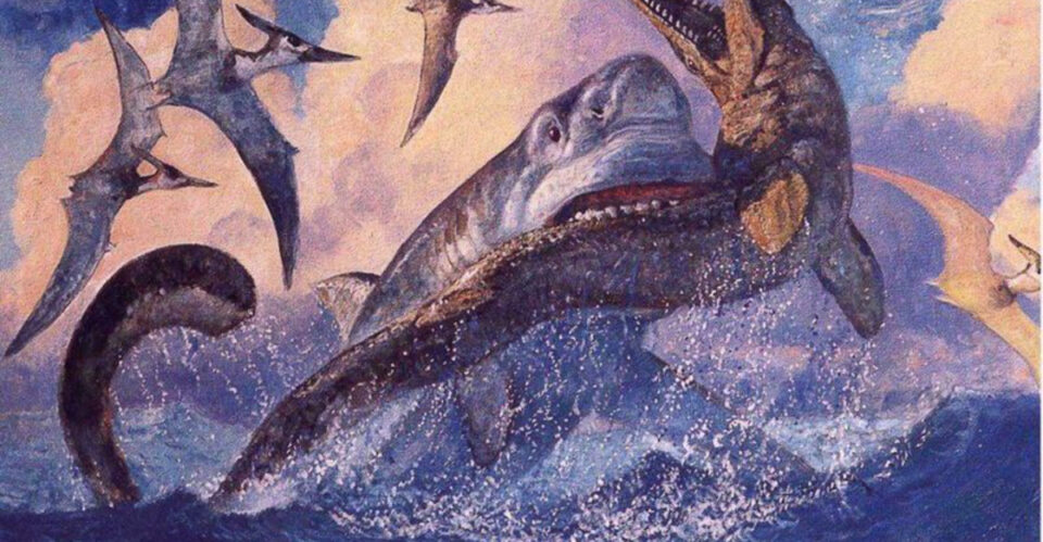 10 Types Of Sharks That Went Extinct (And 4 Sharks Still Thriving Today)