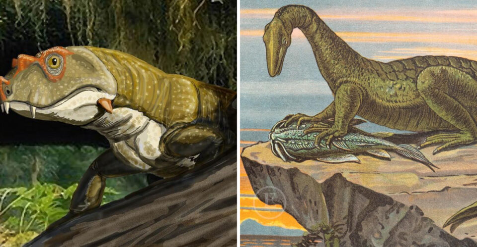 14 Prehistoric Reptiles That Walked The Earth Before Dinosaurs Existed