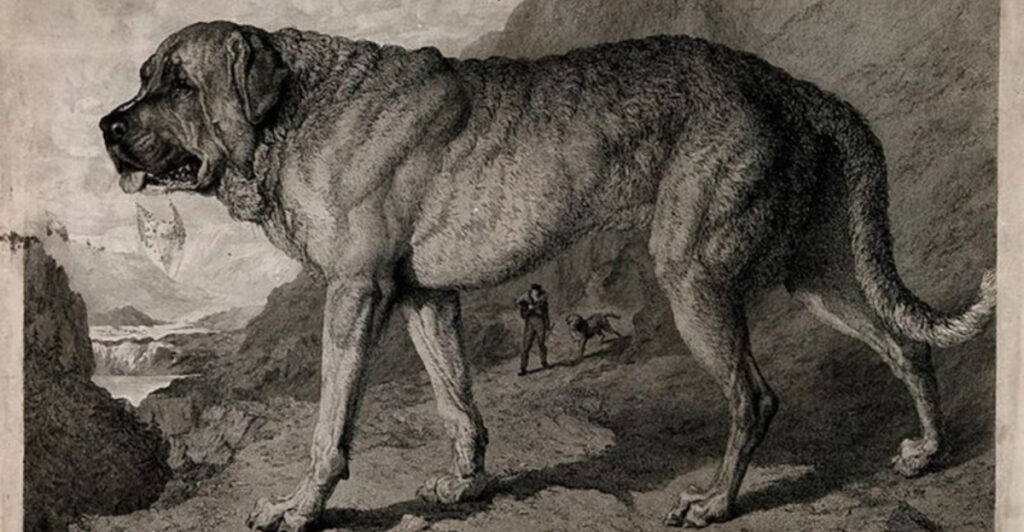 16 Birds That Puff Up Their Feathers (And The Reasons Why)