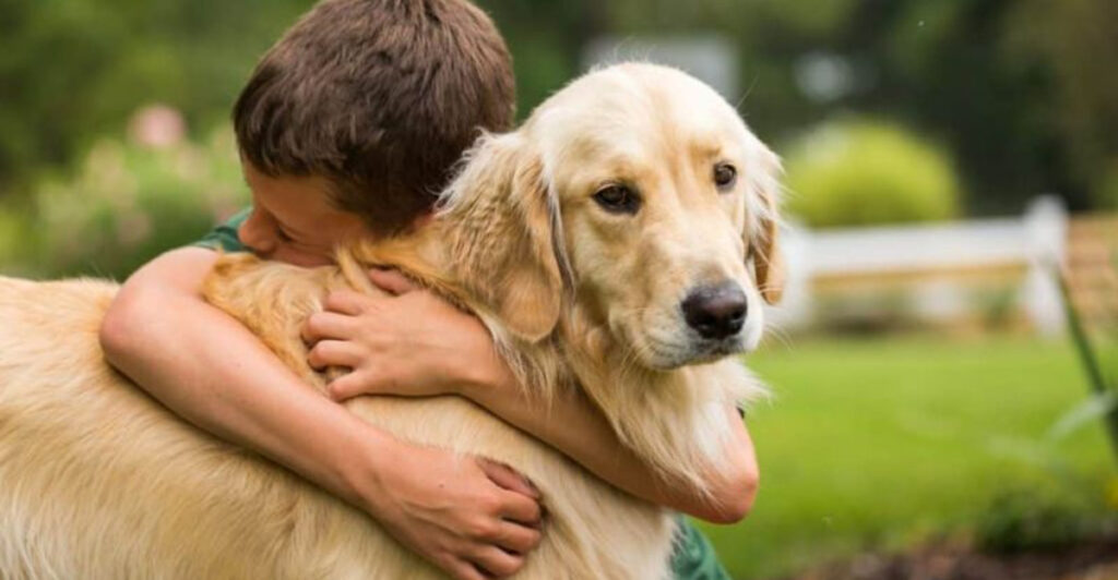 15 Dog Breeds That Shine As Companions For Kids With Autism
