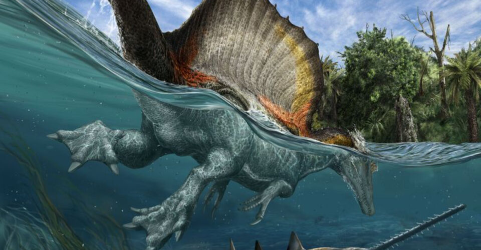 15 Facts About Spinosaurus: The Dinosaur That Shook Paleontology