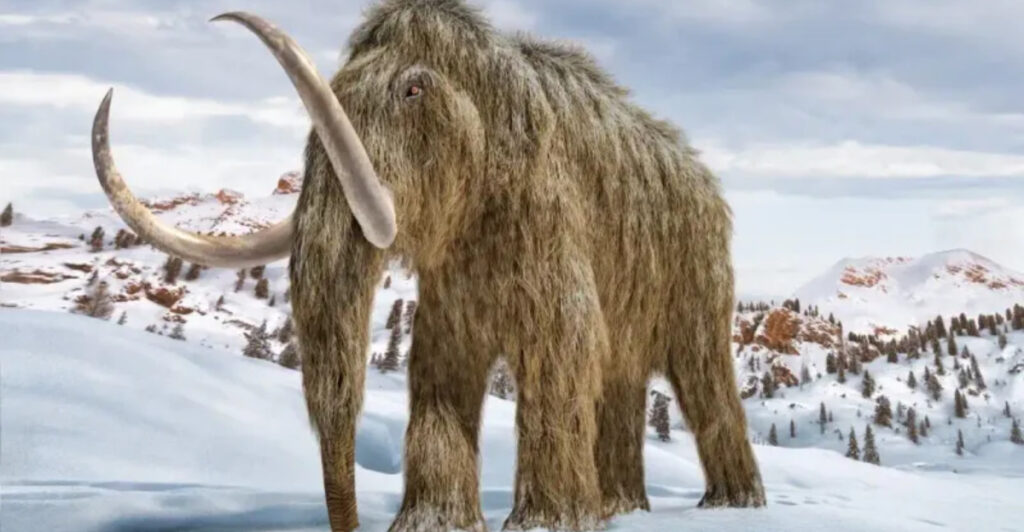 16 Animals That Shaped Human Evolution