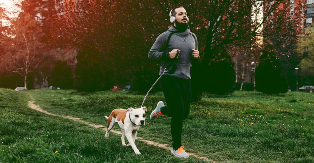 17 Reasons Dogs Are Good For Your Physical Health