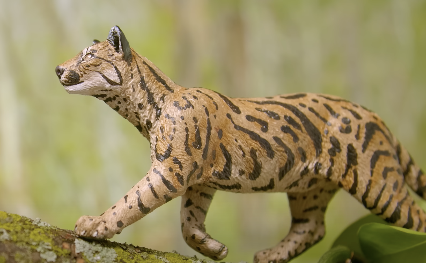 Little-Known Facts About Proailurus, The World's First Cat