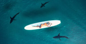 10 Colors That Really Attract Sharks (And 3 Colors That Make You ...