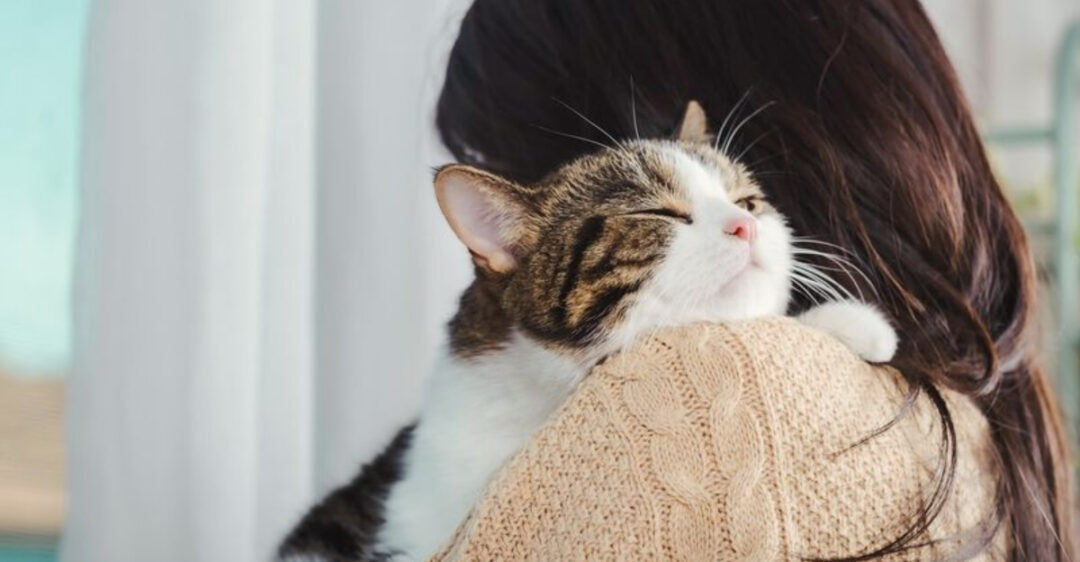 13 Habits Cats Form When They Feel Secure In Your Energy