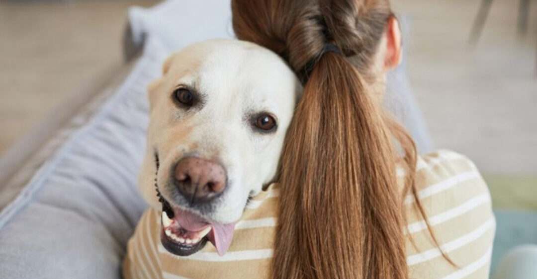 14 Compassionate Dog Breeds That Truly Make You Feel Understood
