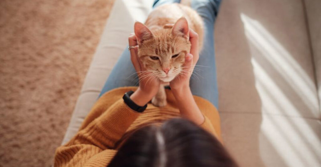 14 Things Cats Remember Forever And How You Can Be One Of Them