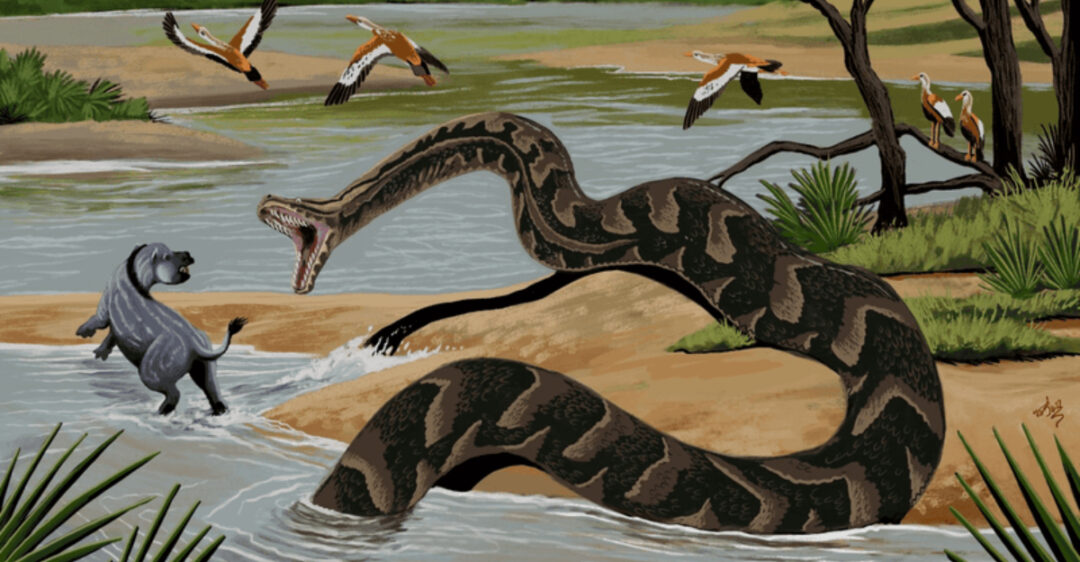 15 Extinct Snakes That Could Have Changed The Evolution Of Reptiles ...