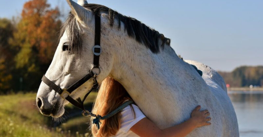 15 Horse Breeds That Love To Bond With Humans