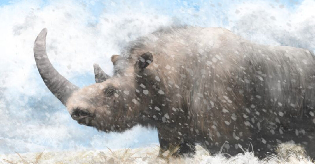 15 Remarkable Animals That Disappeared With The Ice Age