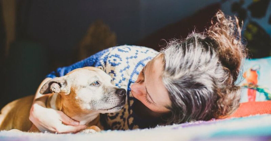 15 Touching Ways To Honor Your Dog's Final Moments