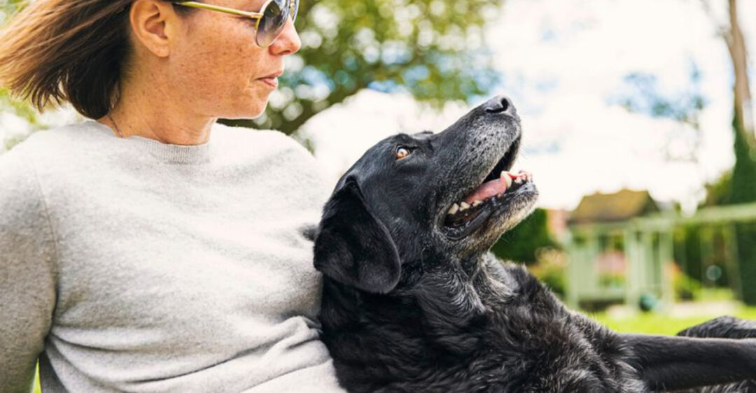 15 Ways Your Dog Proves You've Earned Their Trust