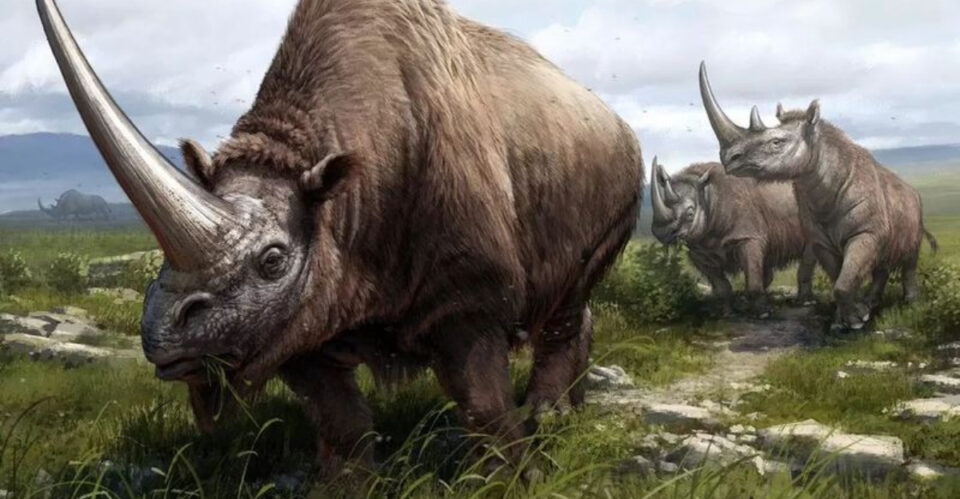 15 Weird Prehistoric Beasts You Won't Believe Existed