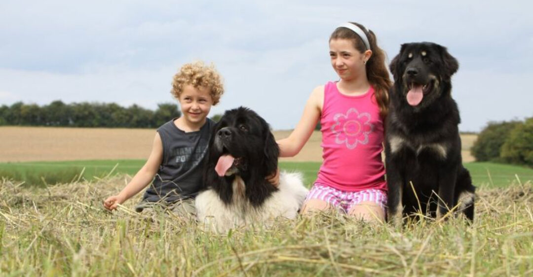 16 Gentle Dog Breeds With Kind Natures