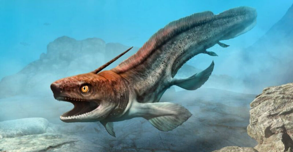 A List Of Ancient Sharks From Small To Scary