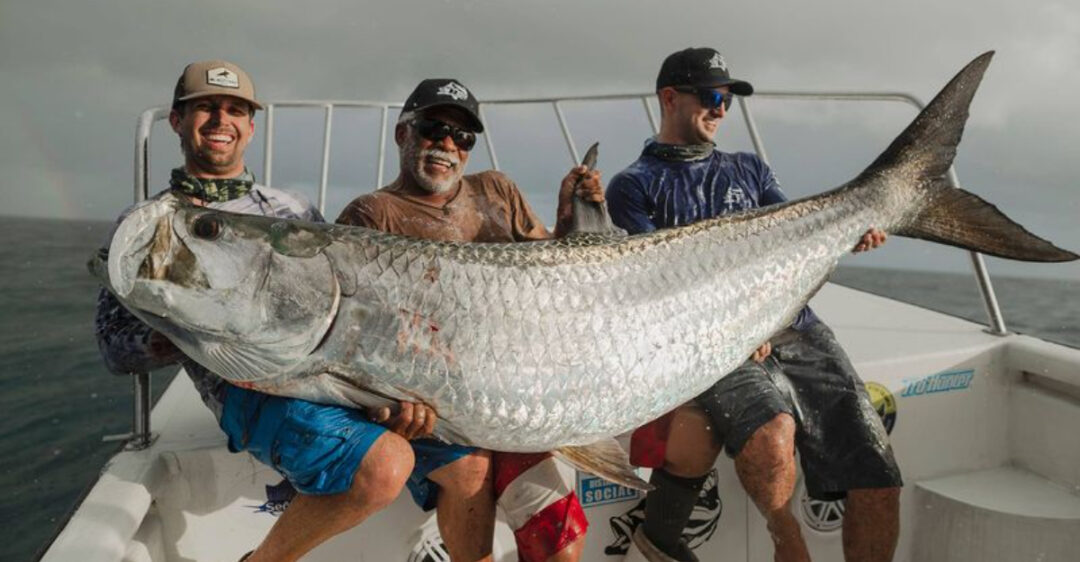Discover The 20 Largest Fish Ever Caught In The United States