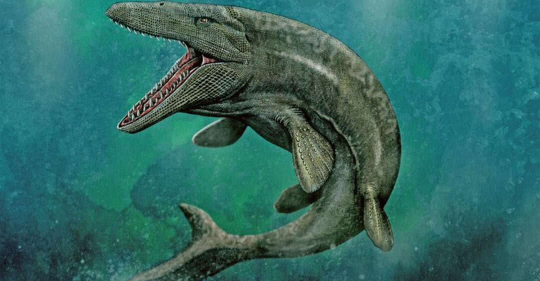 Geologists Find Evidence Of A Prehistoric Marine Predator, The 'Sea ...