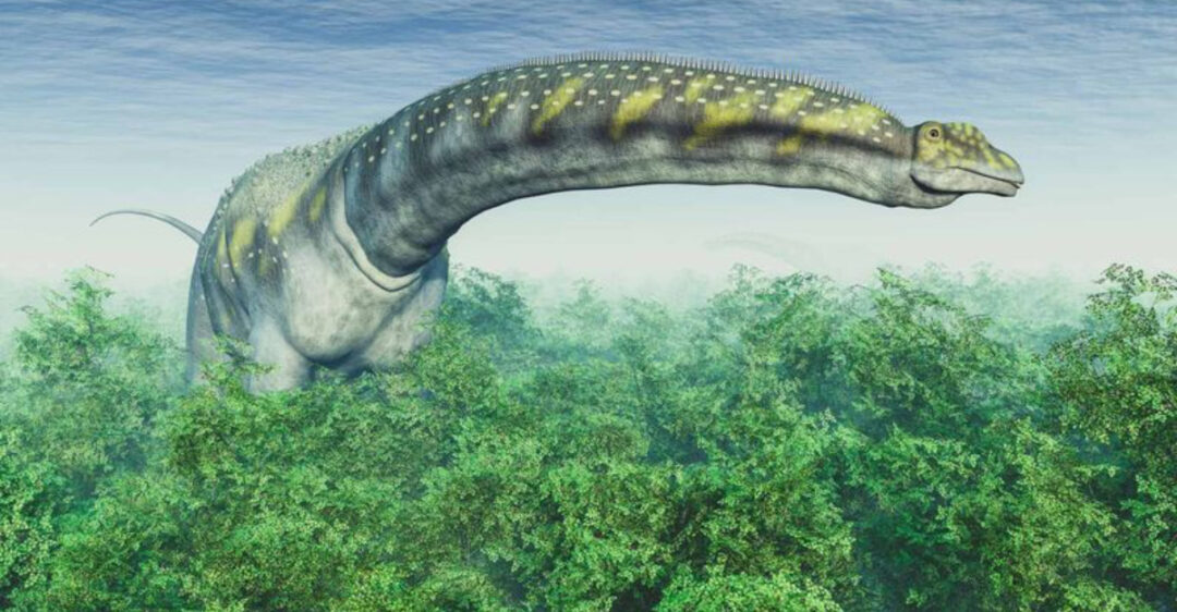 Meet Argentinosaurus, The Colossal Behemoth Of The Dinosaur Era