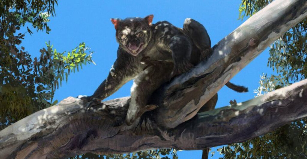 Meet Thylacoleo, Australia's Extinct Predator With The Bite Of A Big Cat