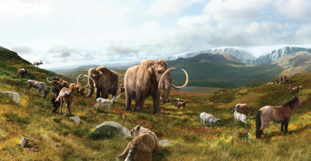 Millions Of Years Ago, Creatures Like Rhinos, Elephants, And Antelopes ...