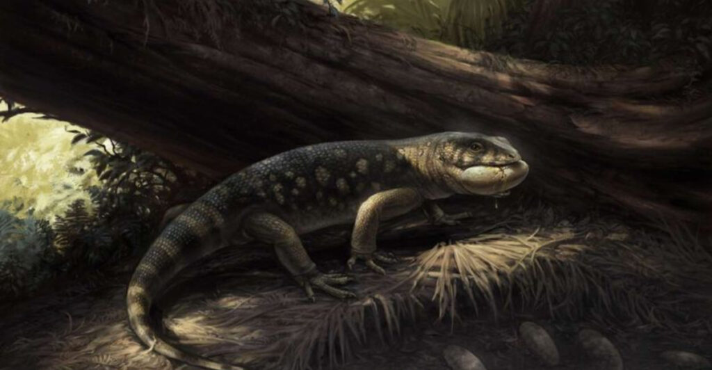 New 76-Million-Year-Old Dinosaur Species Discovered In Utah