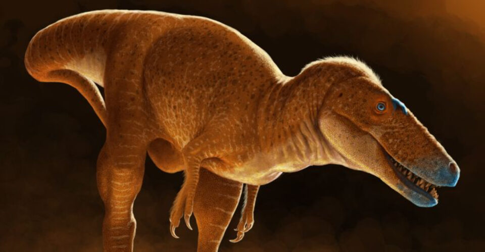 Newly Discovered 'Dragon Prince' Dinosaur Alters The History Of The T ...