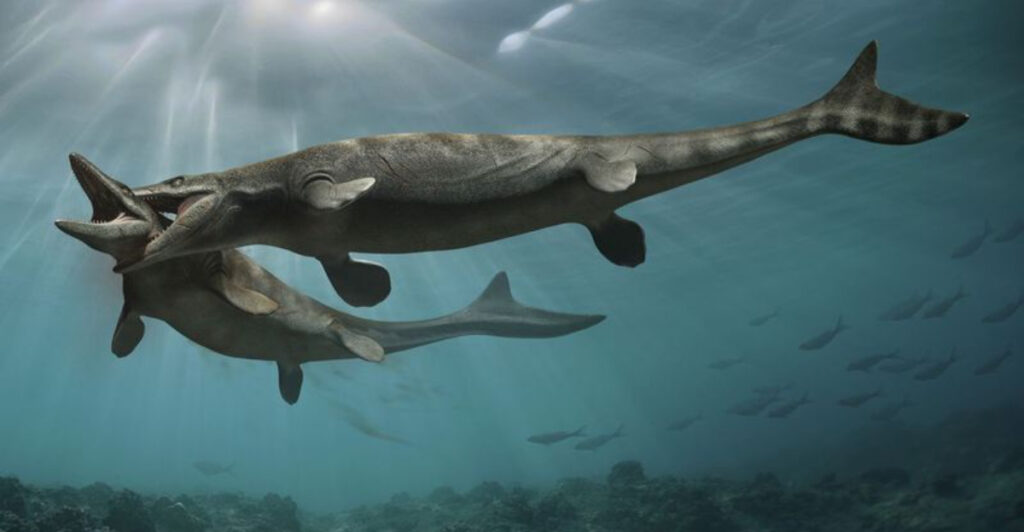 Prehistoric Predator Unearthed In The Depths Of The Mississippi River